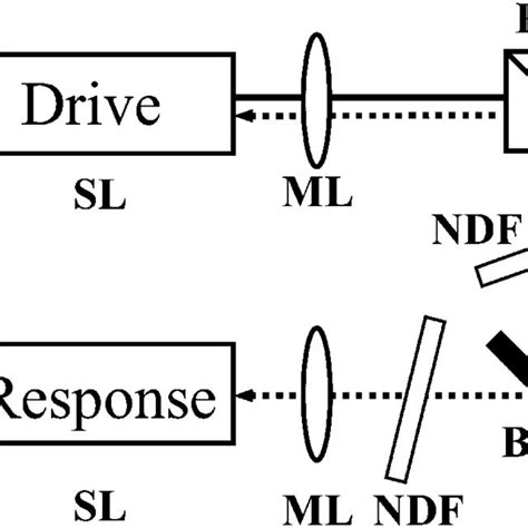 Model System For Synchronization Of Chaos In Two Semiconductor Lasers Download Scientific