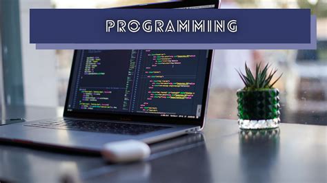 8 Lessons Ive Learned From Studying Programming For 15 Years By Shalitha Suranga Level Up