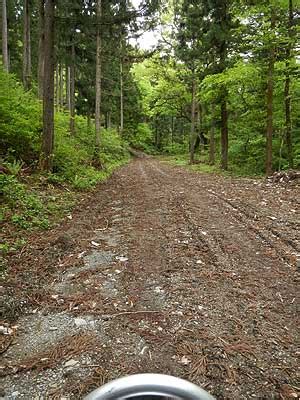 廃道日記86 福島県道377号八溝山線A