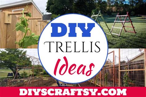 33 Easy DIY Trellis Ideas DIYsCraftsy