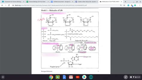 Biochemistry Diagram Quizlet