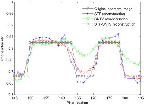 Vertical Profile Plot For The Reconstruction Of The Ncat Phantom At The Download Scientific
