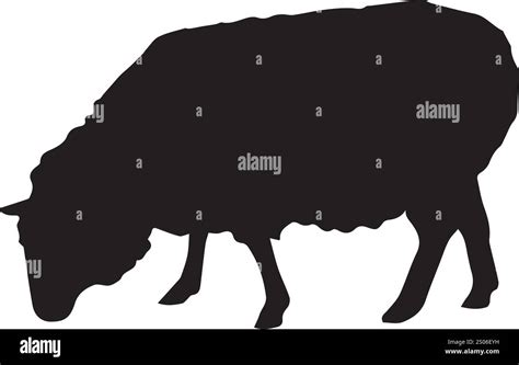 Sheep Vector Drawing Designs Stock Vector Image And Art Alamy