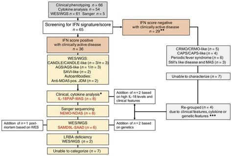Jci Distinct Interferon Signatures And Cytokine Patterns Define Additional Systemic