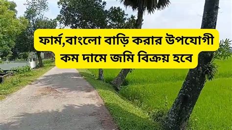 বাংলো বাড়ি ডেইরি ফার্ম খামার করার উপযোগী কম দামে জমি বিক্রয় Land Sale Gazipur Youtube