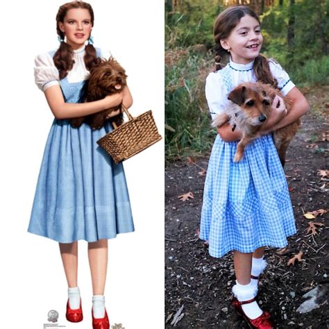 Dorothy Wizard Of Oz