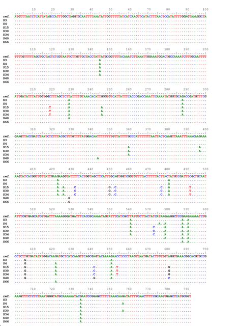 Alignment Of Seven Bacterial Samples With Their Corresponding Pmrc1