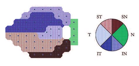 9 The Humphrey 24 2 Visual Field Grid For A Right Eye Divided Into Download Scientific Diagram