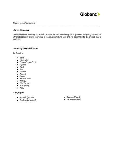 Cv Nicola S Lo Pez Pschepiurka Pdf Java Programming Language My Sql