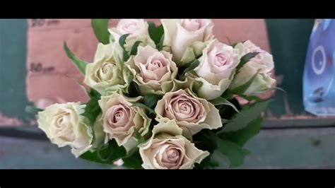 오번가장미 생화 꽃집 꽃집창업 꽃값 온라인꽃시장 온라인꽃도매 인터넷꽃시장 인터넷꽃도매 서울꽃시장 꽃농장 꽃배송 생화배송 생화도매 생화택배 꽃배달 생화배달 생화주문 생화부케