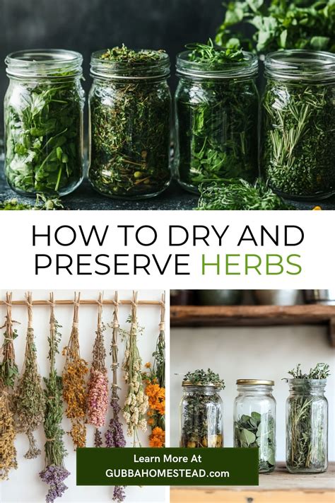 Preserving Herbs 12 Ways To Preserve The Flavors Of Your Garden Tips