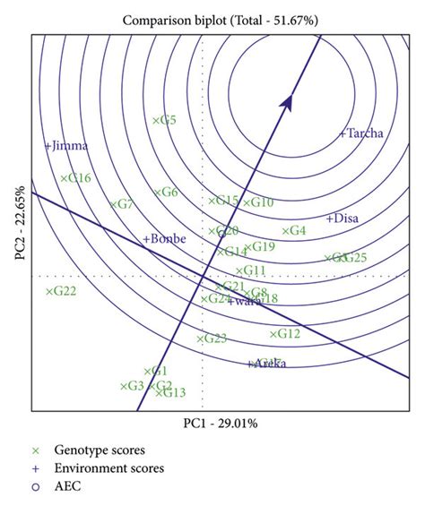 Gge Biplot Graph Based On Environment Focused Scaling For Comparison Of Download Scientific