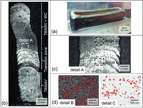 Characterization Of The Component Image Of The Part A Macrograph Of