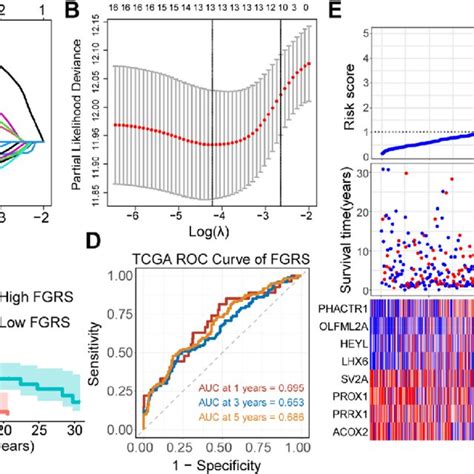 Lasso Regression Analysis And Prediction Effect In The Tcga Skcm Download Scientific Diagram