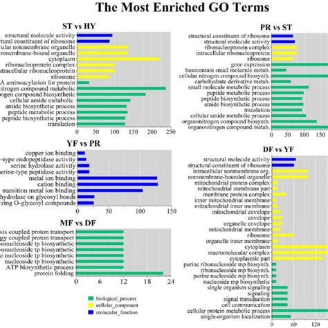 Go Functional Classification Of Differentially Expressed Genes The