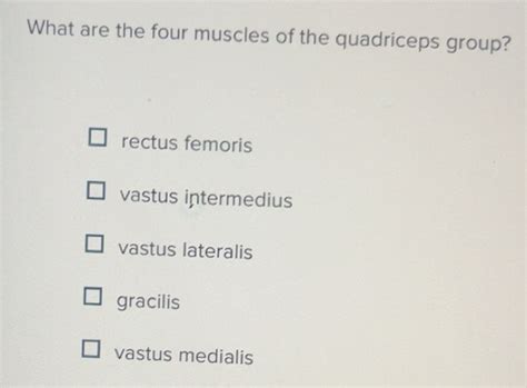 Solved What Are The Four Muscles Of The Quadriceps Group Rectus Femoris Vastus Intermedius