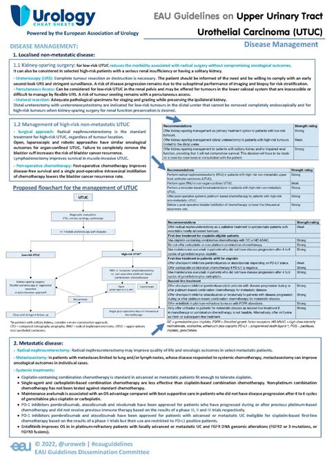 Eau Guidelines On Upper Urinary Tract Urothelial Cell Carcinoma Urology Cheatsheets