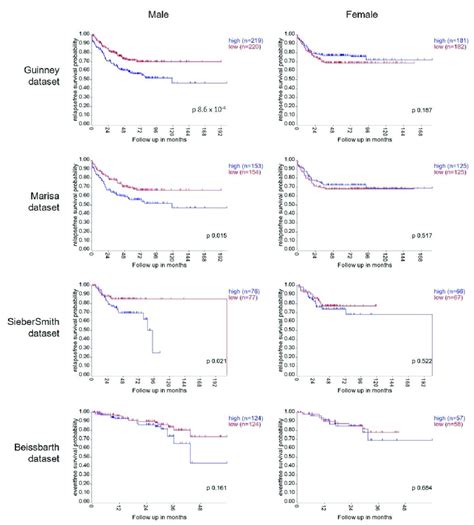 High Gene Expression Of Wnt Receptor Fzd1 Associates With Poor
