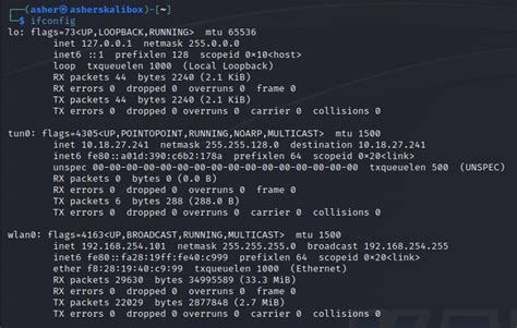 Hands On Hacking Initiating A Reverse Shell And Conducting Privilege Escalation With Burpsuite