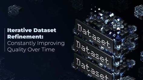 Iterative Dataset Improving Quality Labelvisor