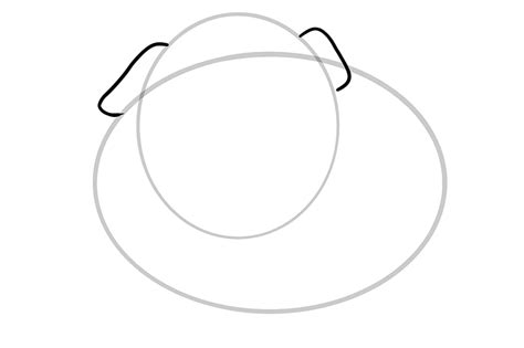 How To Draw A Guinea Pig Exploring Perspective In A Guinea Pig Sketch Guinea Pigs Pig