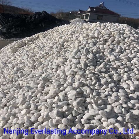 Wholesale Snow White Natural Pebble Stone Tumbled River Rock For Front Yard Landscaping
