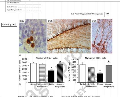 Figure 62 From Uva Dare Digital Academic Repository Regulation Of