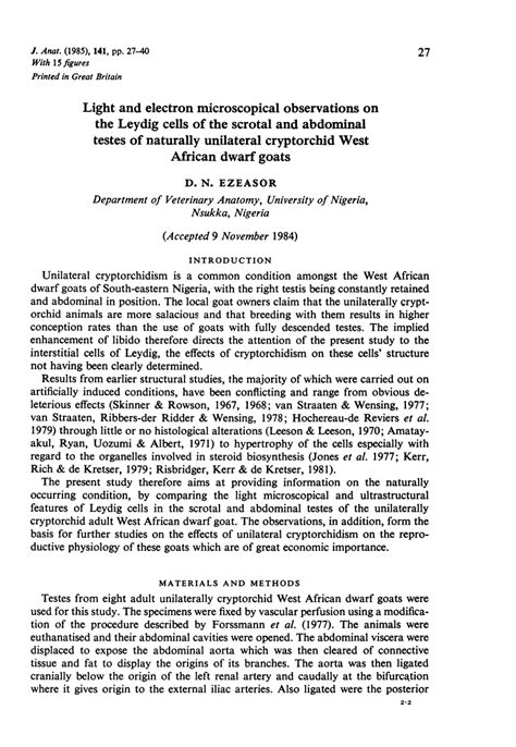 Light And Electron Microscopical Observations On The Leydig Cells Of