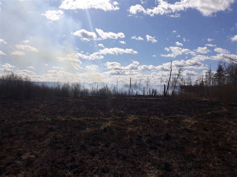 Savaitgalį Lietuvoje Kilo Ne Vienas Miško Gaisras Galerija 15minlt