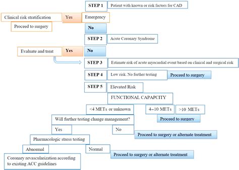 The Patient With Cardiovascular Disease For Lung Resection Surgery