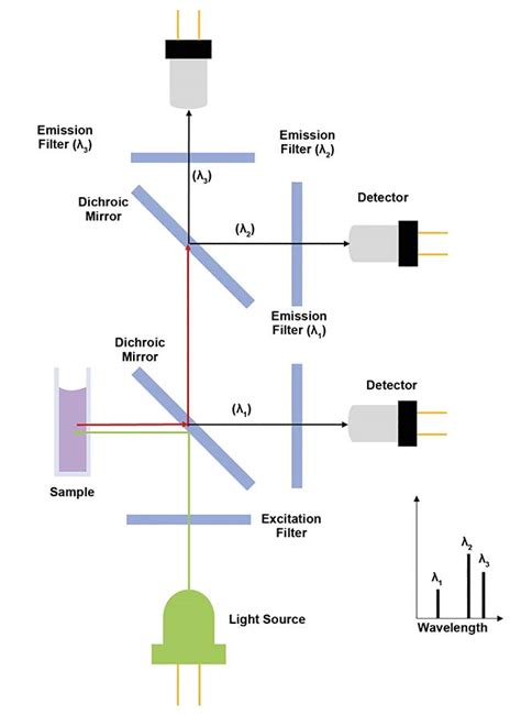 Diode Array Spectrometers Augment Fluorescence Based Research Features Mar Apr 2021