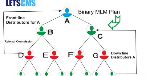 Mlm Plan Binary Business Model Pyramid Model Network Marketing