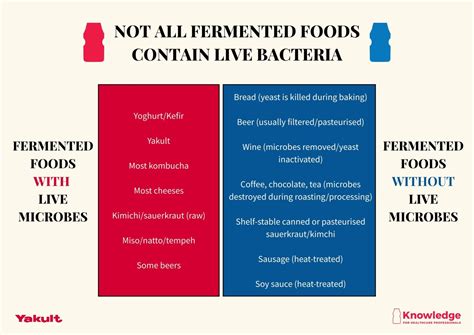 Yakult Fermented Milk And Probiotic Yakult Knowledge
