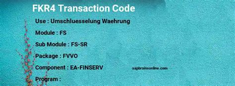 FKR SAP Tcode For Umschluesselung Waehrung