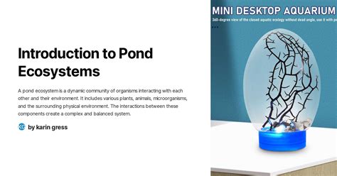 Introduction To Pond Ecosystems