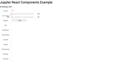 datalayer jupyter react npm