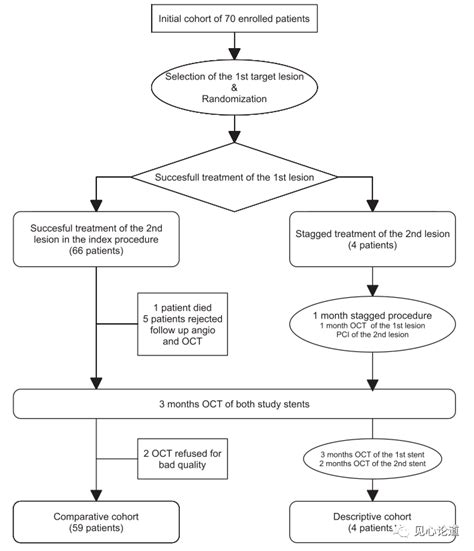 健心知著 超薄支柱支架设计和无聚合物、促内皮化的普罗布考基质涂层能否改善早期支架愈合？ 严道医声网