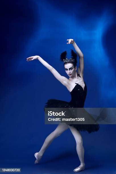 젊은 믿을 수 없을만큼 아름다운 여성의 초상화 검은 발레 의상을 입은 발레리나 빛이 가득한 파란색 스튜디오에서 투투 댄스 30 34세에 대한 스톡 사진 및 기타 이미지