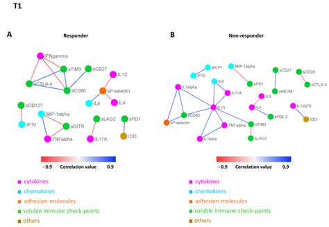 Connectivity Network Between Molecules In Responder A And Download Scientific Diagram