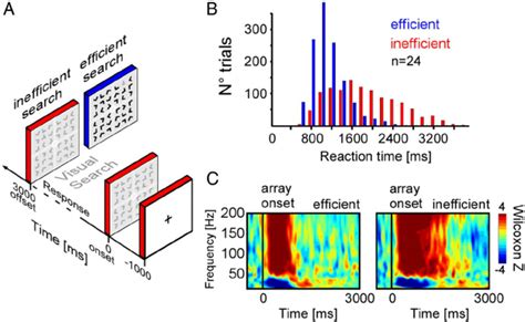 Experimental Conditions Behavior And Time Frequency Responses A Download Scientific