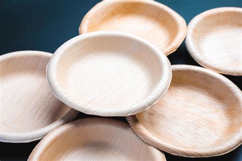 Large Eco Friendly Disposable Plates At Jeffrey Gavin Blog