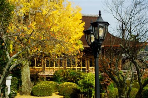 龍福寺 山口市紅葉が見頃です 山口マツダ山口朝田UCLのブログ