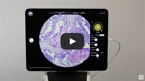 Rebel Training Videos Discover Echo