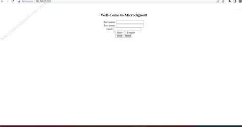 esp8266 nodemcu handling input data on html forms data