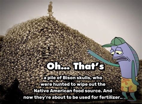 Nice Spongebob Meme Historymemes