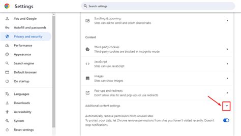 delete browser history automatically how to guide