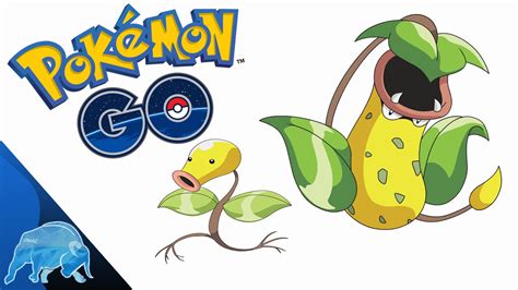 Slashcasual Bellsprout Evolution