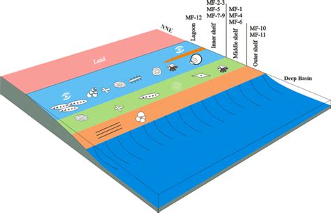 Schematic Model Indicating Depositional Environments Of The Eocene Download Scientific Diagram