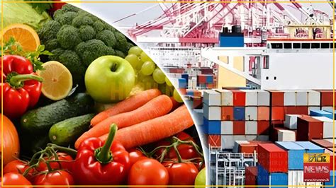 How Agricultural Produce Aggregators For Export Frustrate Nigerias