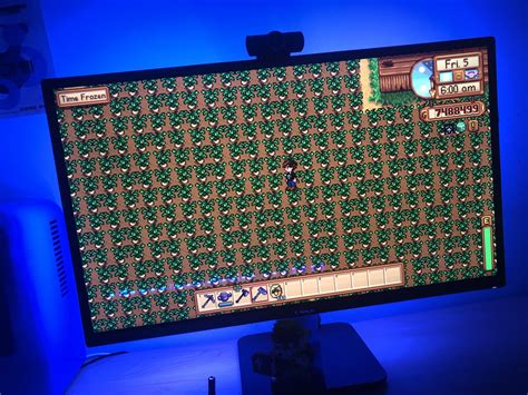 PARSNIP R StardewValley